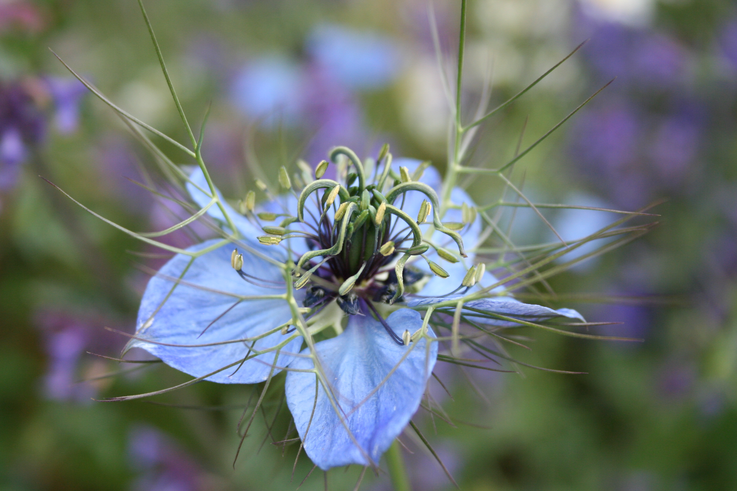 Homepage - CPRE Kent