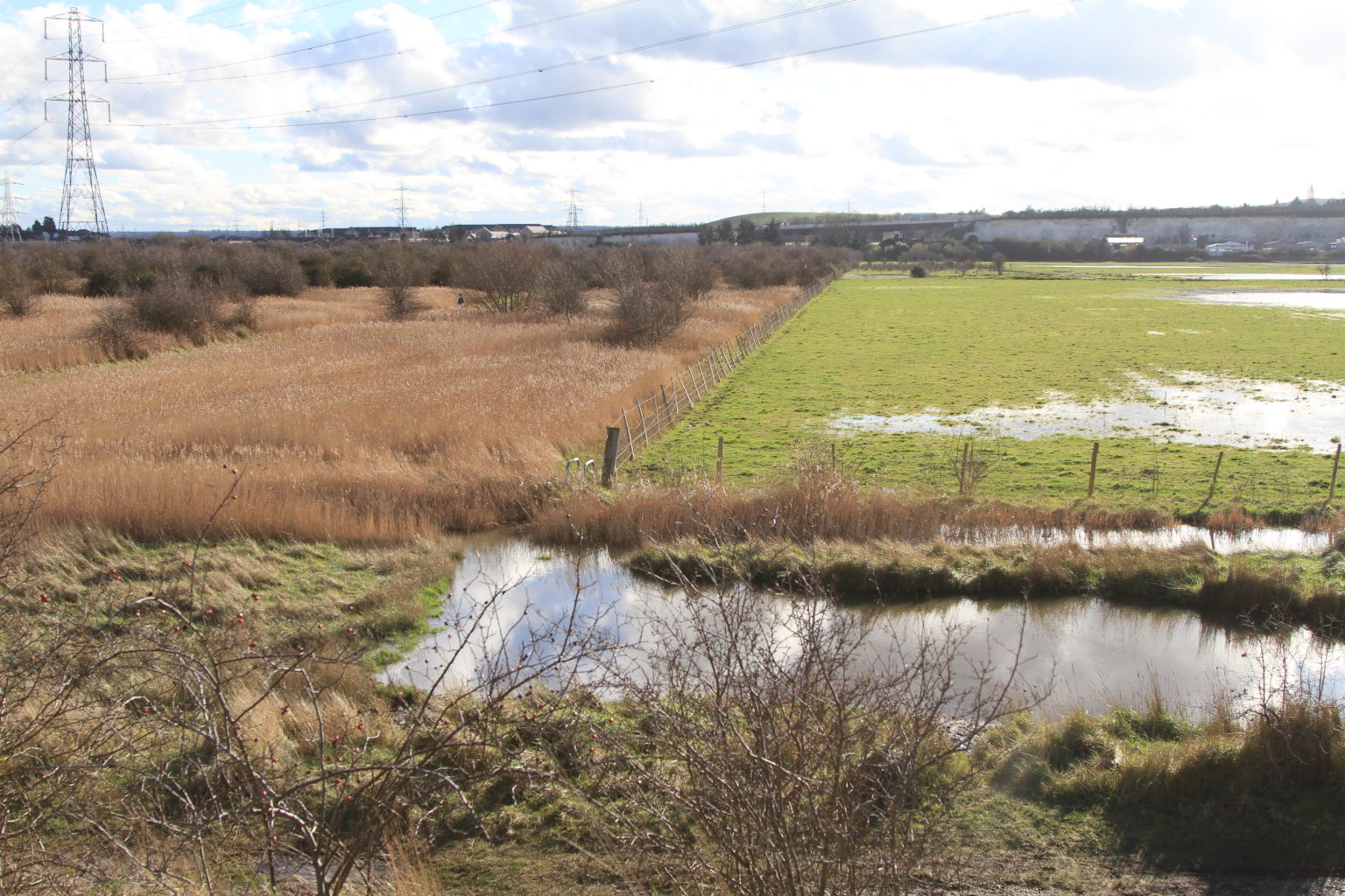 London Resort, Swanscombe, the BBC and biodiversity... actions will ...
