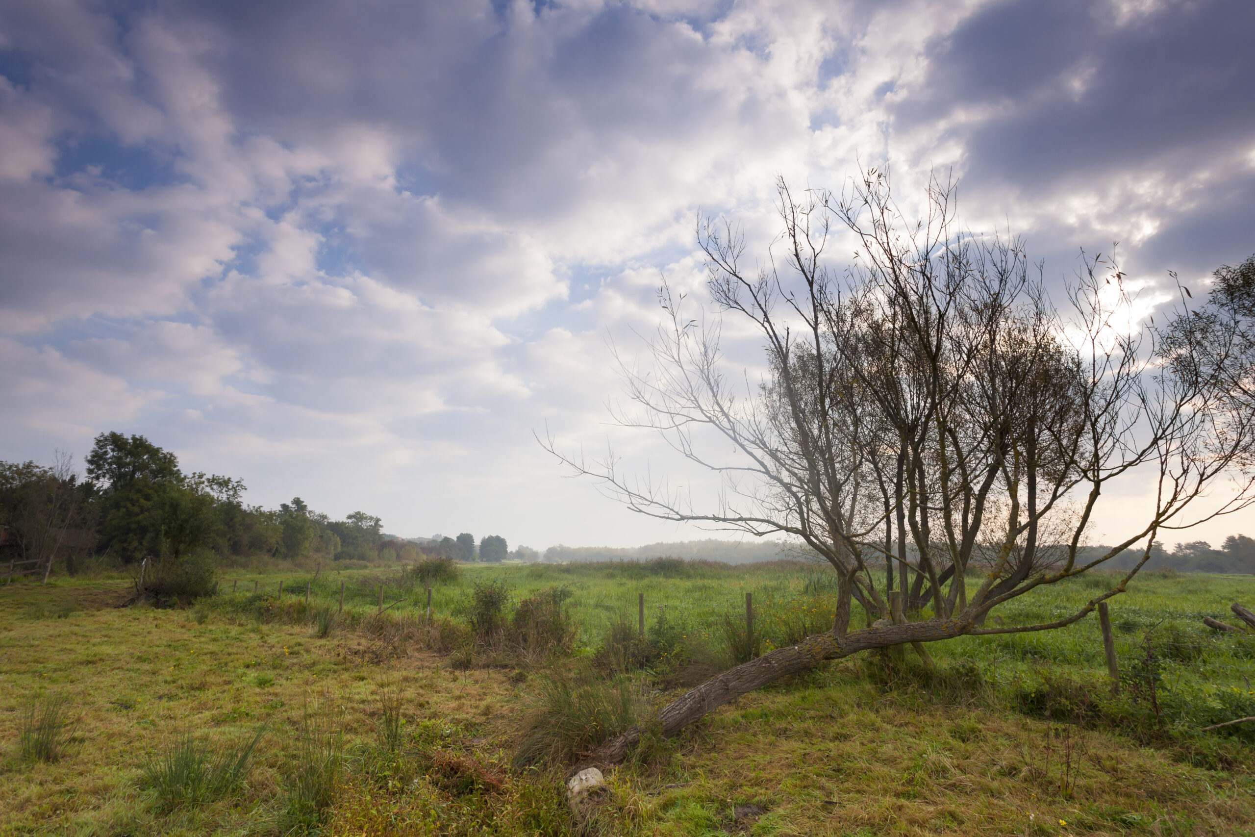 Government's 25-year plan for our environment... what is the CPRE view ...