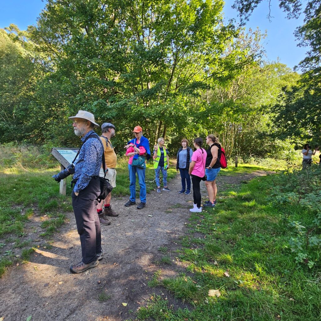 Terrific Trees - what a time we had on Countryside Day - CPRE Kent