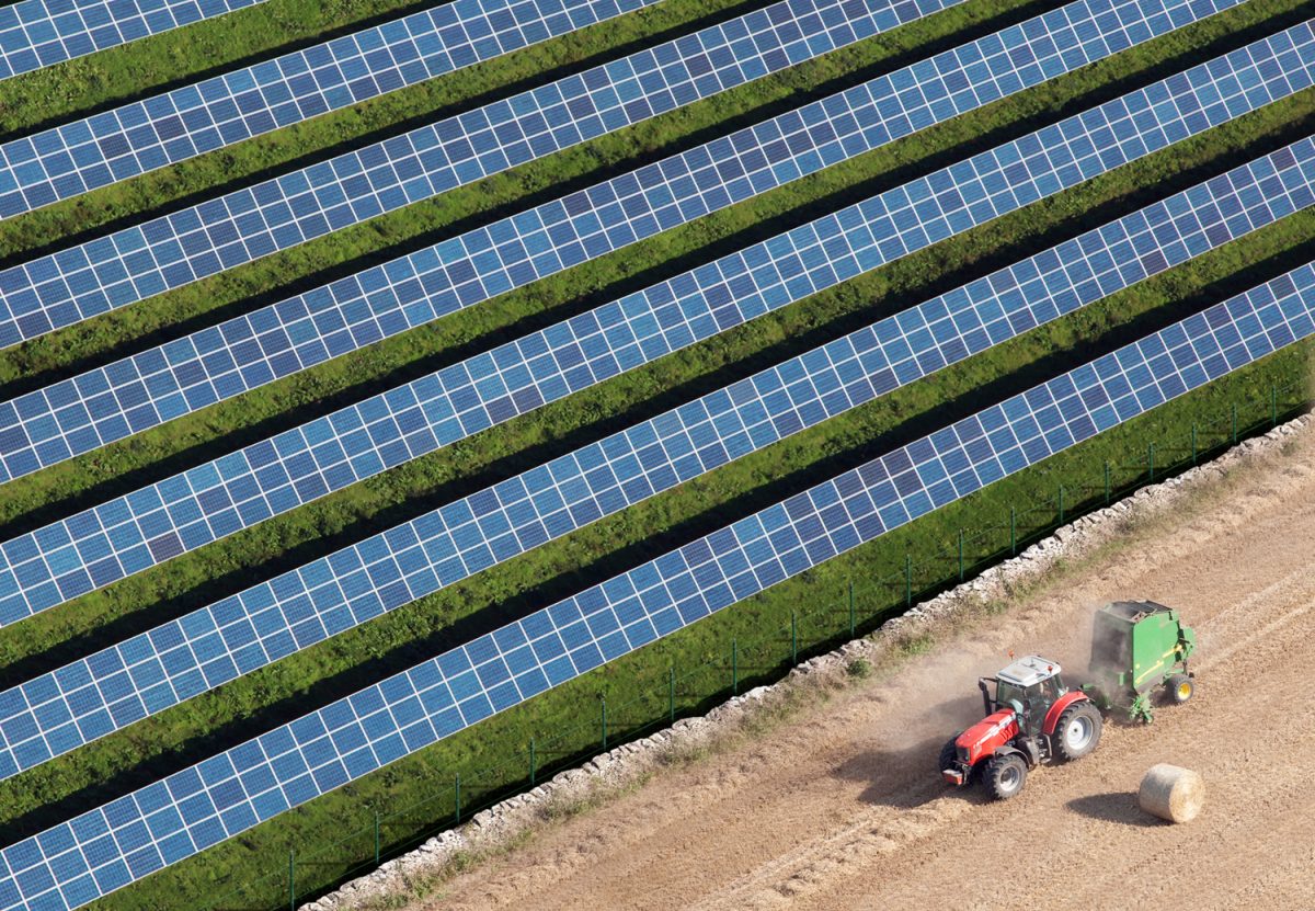 Almost 500 acres of farmland to be lost to Stonestreet Green solar farm ...